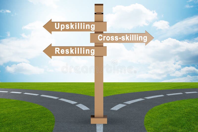 At the Crossroads Choosing between Up-skilling and Re-skilling Stock ...
