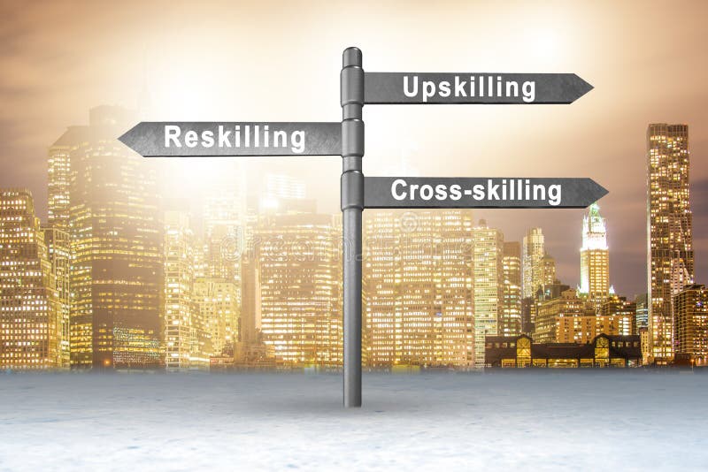 At the Crossroads Choosing between Up-skilling and Re-skilling Stock ...