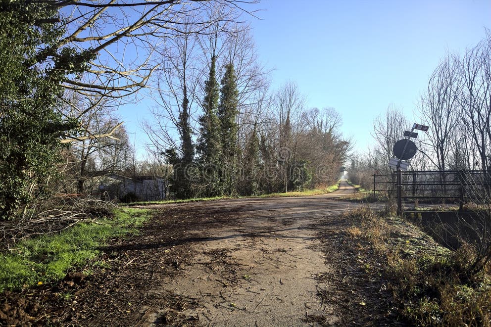 Crossroads between a Dirt Path Stock Photo - Image of farm, bush: 304055174