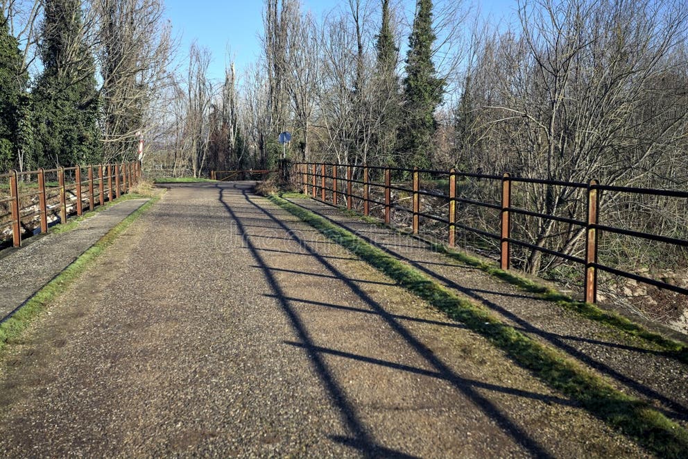 Crossroads between a Dirt Path Stock Photo - Image of bridge, bush ...