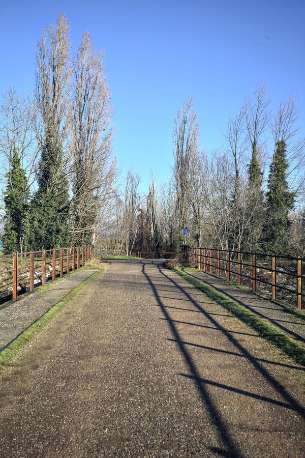 Crossroads between a Dirt Path Stock Photo - Image of land, forest ...