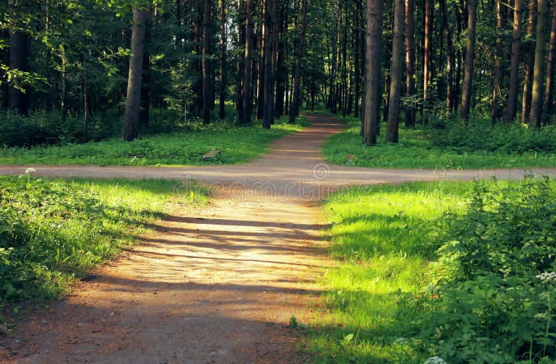 Two Pedestrian Paths in the Green Grass of the Park Merged into One ...