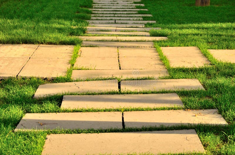 Crossroads in autumn wood. stock photo. Image of outdoor - 27017238