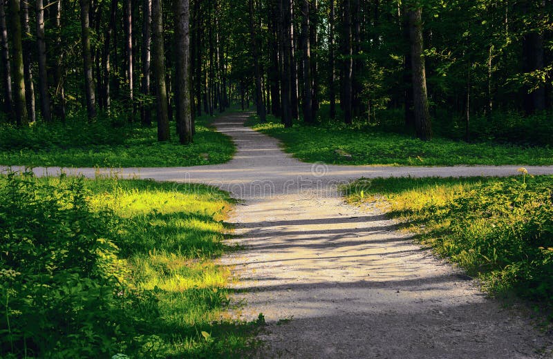 Crossroads in the Park. Two Alleys in the Rays of the Sun and with ...