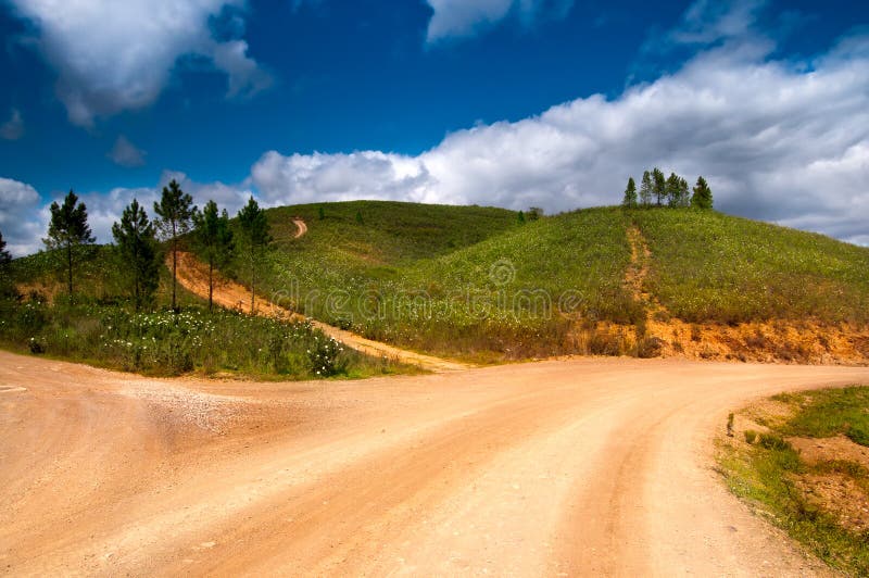 Crossroads Of Dirt Tracks In The Springtime Woods, Stuttgart Stock ...