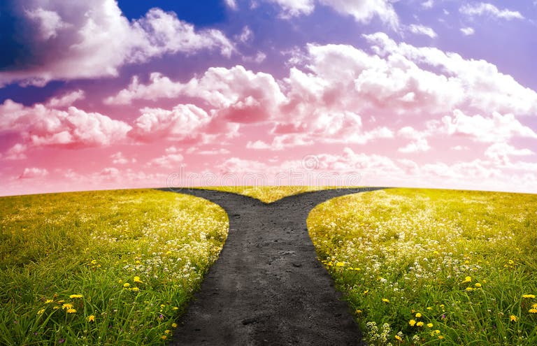 Crossroads in sunset time stock photo. Image of flowers - 19440144