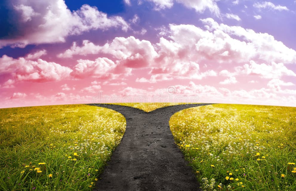 Crossroads in sunset time stock photo. Image of flowers - 19440144