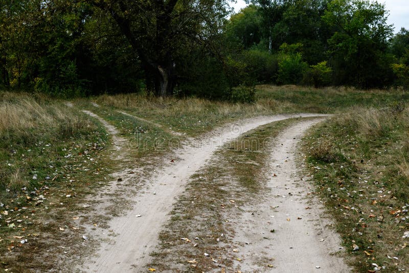 Crossroads, Two Different Directions in the Field at Summertime. Stock ...