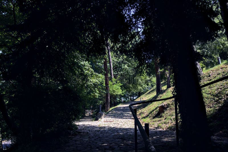 Crossroads between Two Path in a Park Stock Image - Image of fork ...