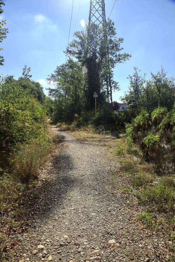Crossroads between Two Paths in a Park on a Sunny Day Stock Image ...