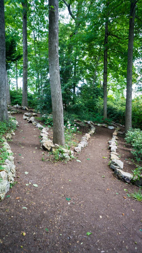 Crossroads in the woods stock image. Image of america - 106235159