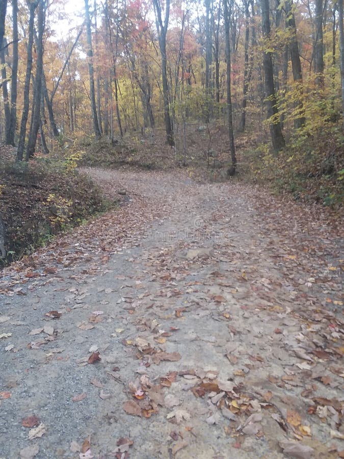 Hinch 2 stock photo. Image of cumberland, crossville - 131006526