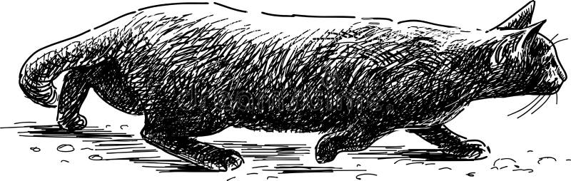 Crouching cat stock vector. Illustration of white, ears - 36913045