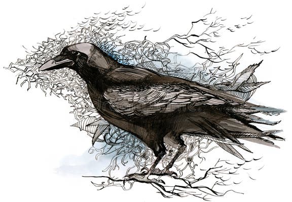 Ominous Crow Stock Illustrations – 1,091 Ominous Crow Stock ...