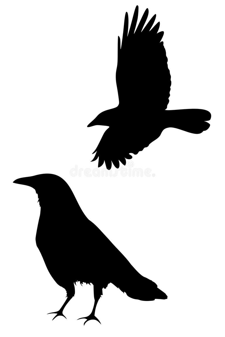 Crow Wings Stock Illustrations – 6,500 Crow Wings Stock Illustrations ...