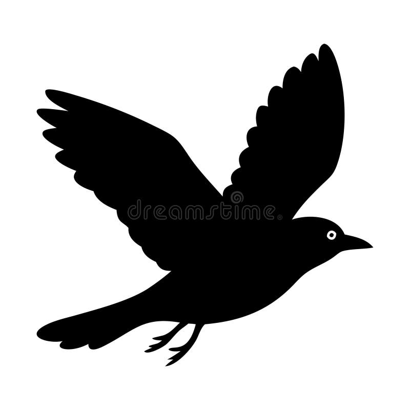 Crow Bird Beautiful Design Image Stock Photo - Illustration of sketch ...