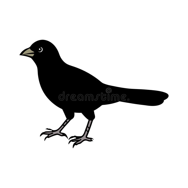 Crow Bird Beautiful Design Image Stock Photo - Illustration of sketch ...