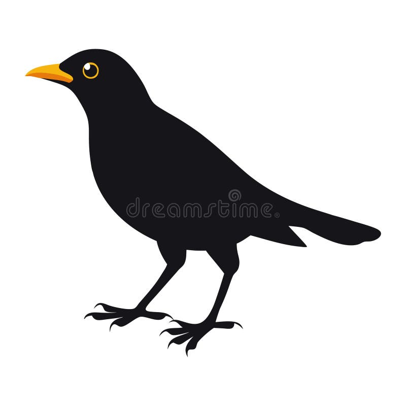 Crow Bird Beautiful Design Image Stock Image - Illustration of crow ...