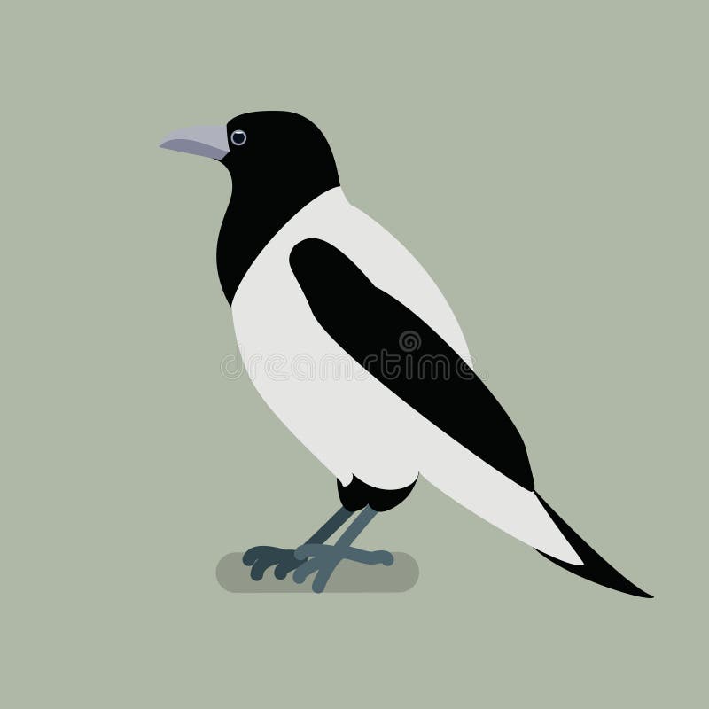 Crow Bird on a Branch. Vector Illustration of a Flat Stock Vector ...