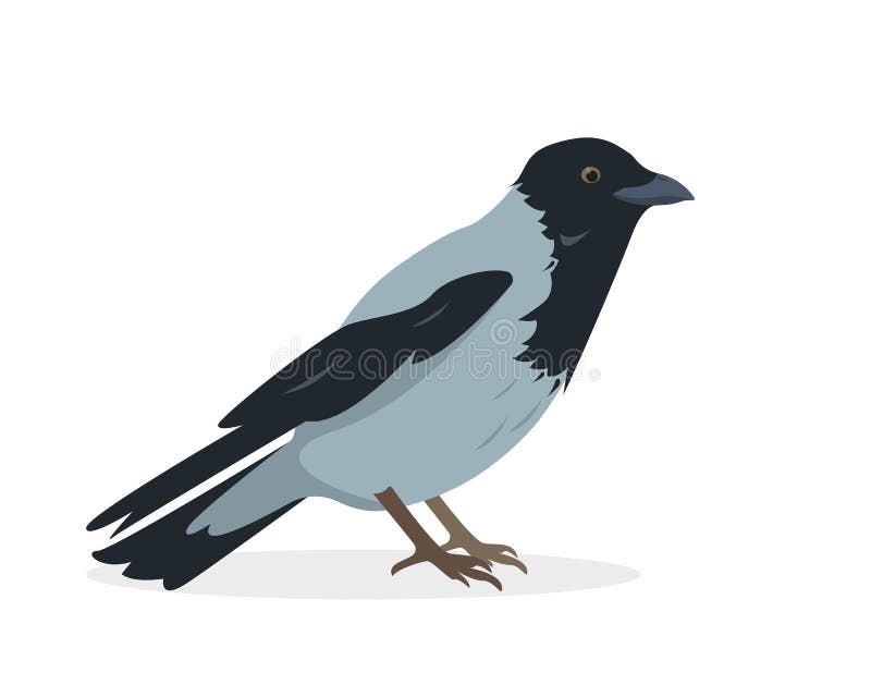 Scotch Crow Stock Illustrations – 16 Scotch Crow Stock Illustrations ...