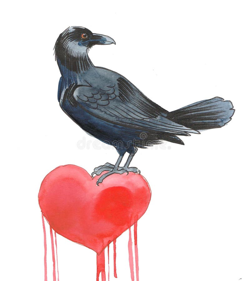 Crow and bleeding heart stock illustration. Illustration of waterbird - 359527596