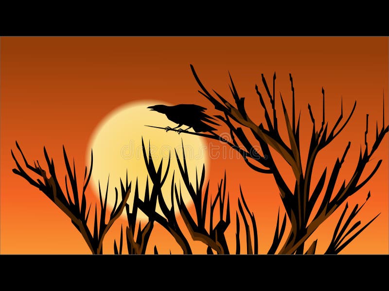 Crow Picture. Image: 779062