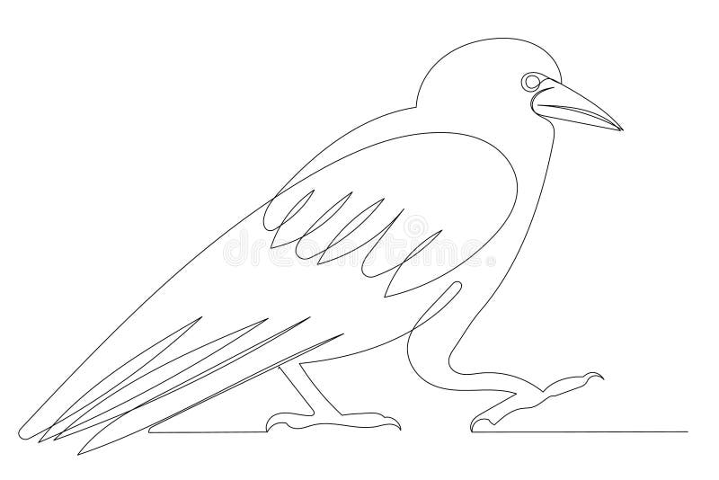 Crow Line Drawing Stock Illustrations – 2,389 Crow Line Drawing Stock ...