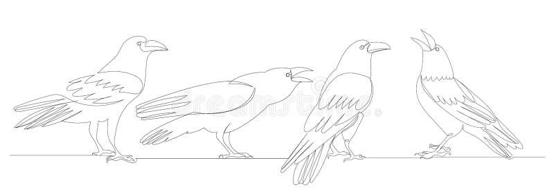 Crow Line Drawing Stock Illustrations – 3,071 Crow Line Drawing Stock ...