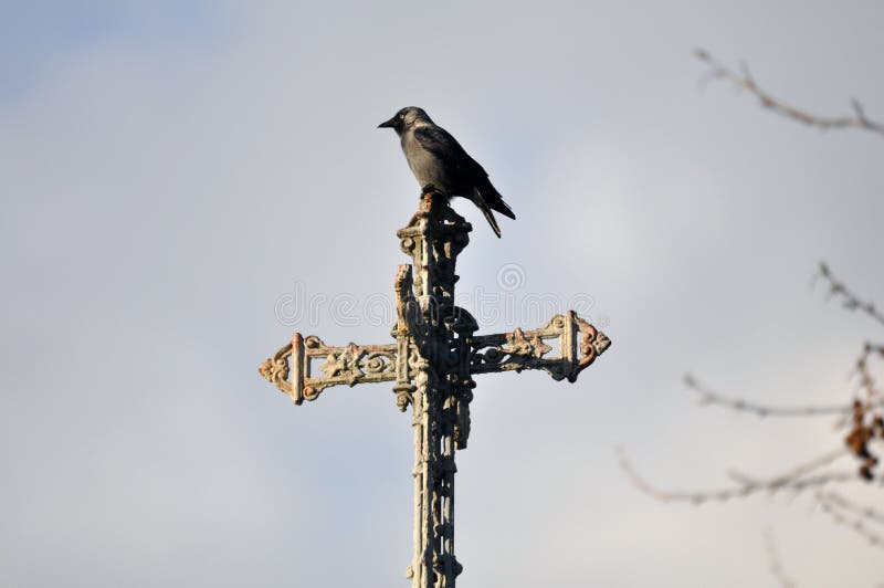 Crow on a Cross stock photo. Image of cross, bird, iron - 28827488