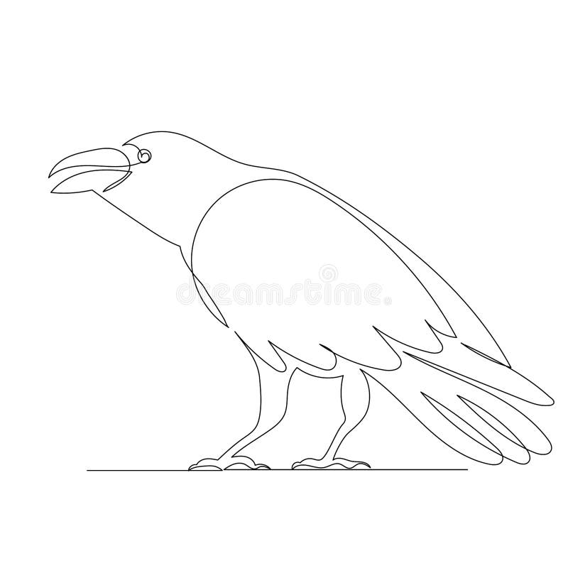 Crow Drawing by One Continuous Line Stock Vector - Illustration of ...