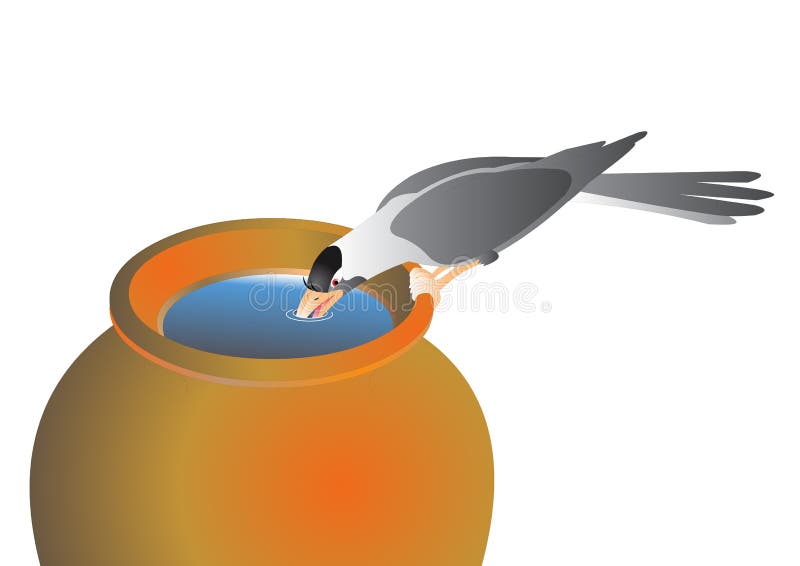 Crow drinking water stock vector. Illustration of drinking - 7146918
