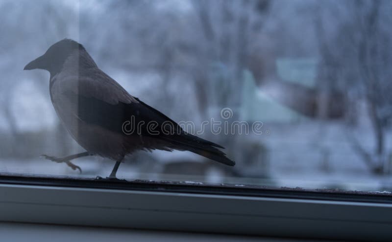 Vrindavan Window Stock Photos - Free & Royalty-Free Stock Photos from ...