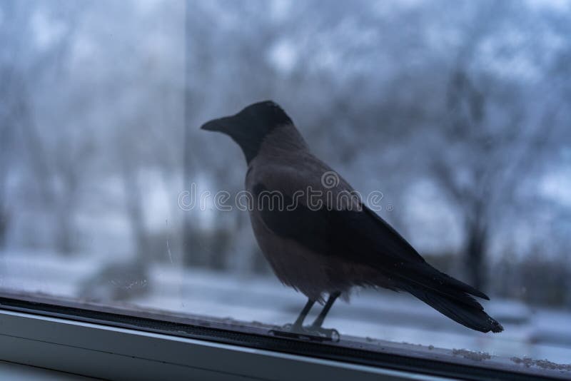 Vrindavan Window Stock Photos - Free & Royalty-Free Stock Photos from ...