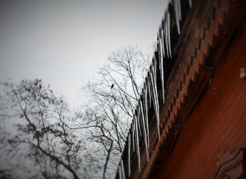 Nraven Stock Photos - Free & Royalty-Free Stock Photos from Dreamstime