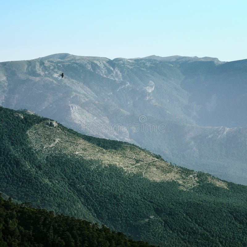 Crow Flying Over the Hills. Stock Image - Image of cover, scenery: 87567515