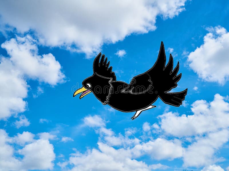 Crow Flying in Sky, Crow - 1 Stock Image - Image of animal, wind: 282370299