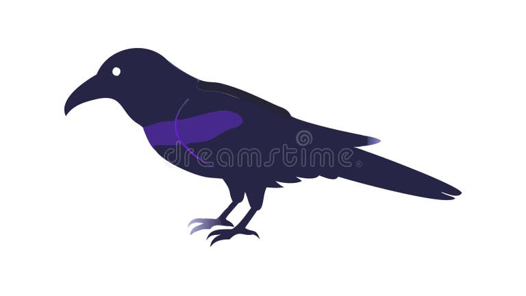 Crow Front View, Intelligent and Observant Avian, Vector Design ...
