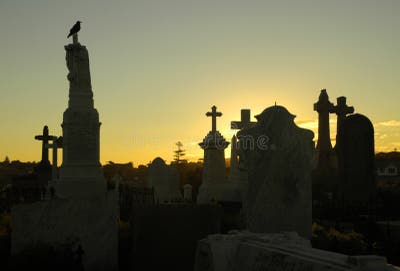 Crow at graveyard stock photo. Image of memorial, mourning - 2350762