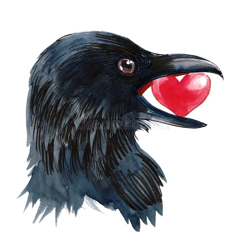 Crow with heart stock illustration. Illustration of chicken - 359374976
