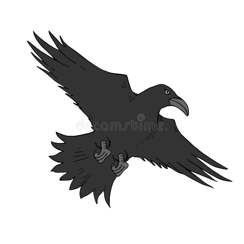 Crow illustration design stock vector. Illustration of bird - 298422883