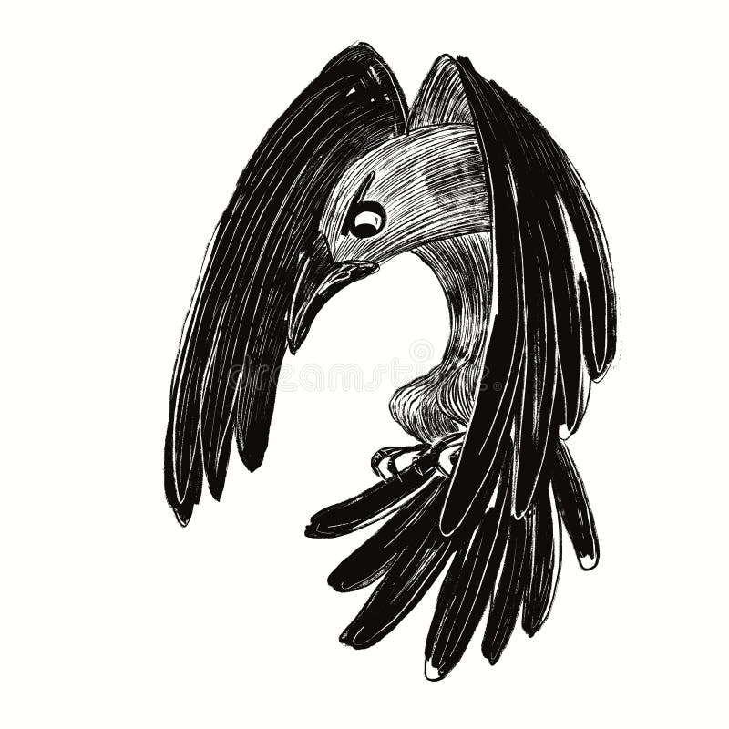 Furious crow stock illustration. Illustration of monochrome - 253802117