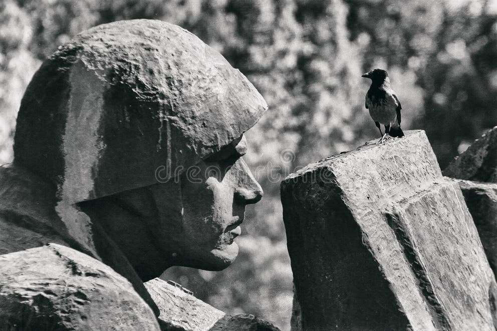 Crow at the monument stock photo. Image of monument, white - 44397294