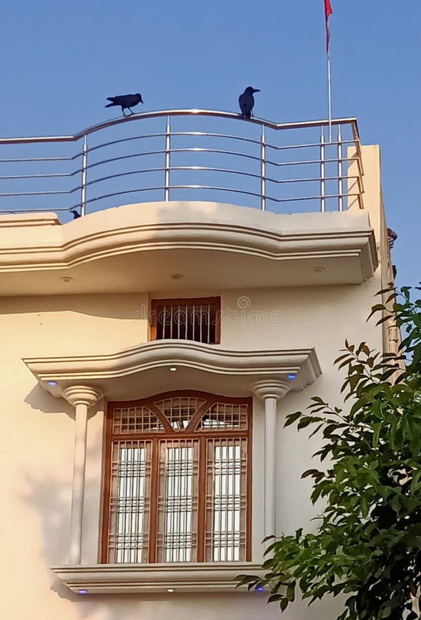 Crow Sitting in Beautiful Building Image Stock Photo - Image of crow ...