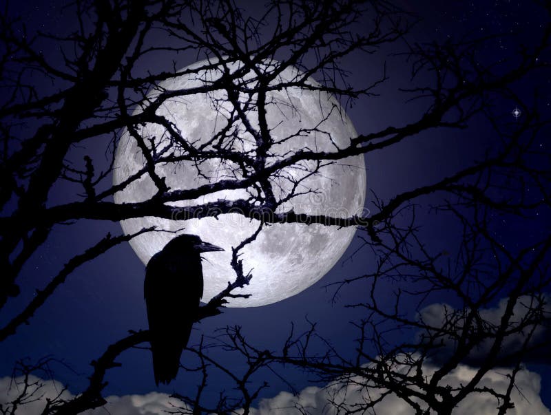 Raven Full Moon Stock Photos - Download 153 Royalty Free Photos