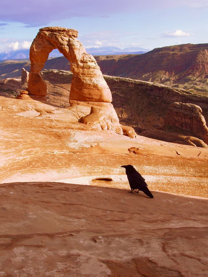 Delicate Arch with a Crow stock image. Image of moab - 113016993