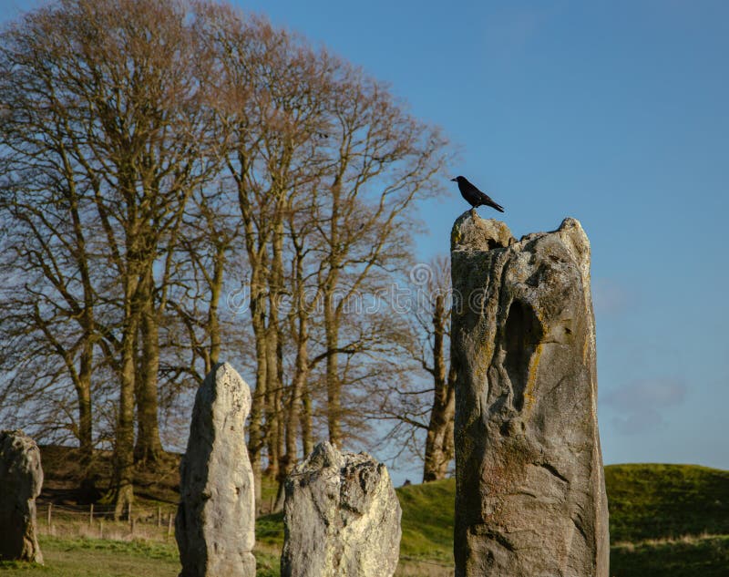 Crow Standing on Top of a Large Standing Stone . Stock Photo - Image of ...