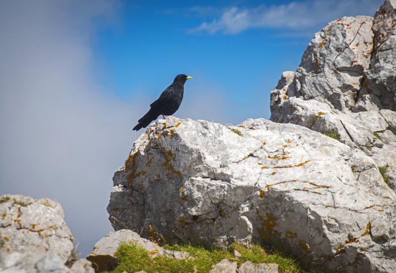 Stol Mountain in Eastern Serbia, Near the City of Bor Stock Photo ...