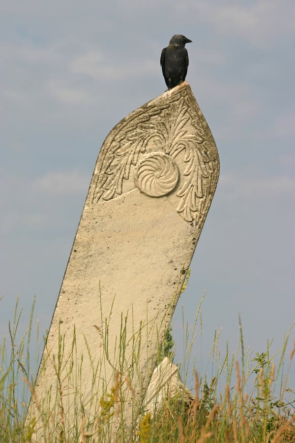 Crow on a tombstone stock image. Image of ethno, dust - 10863233