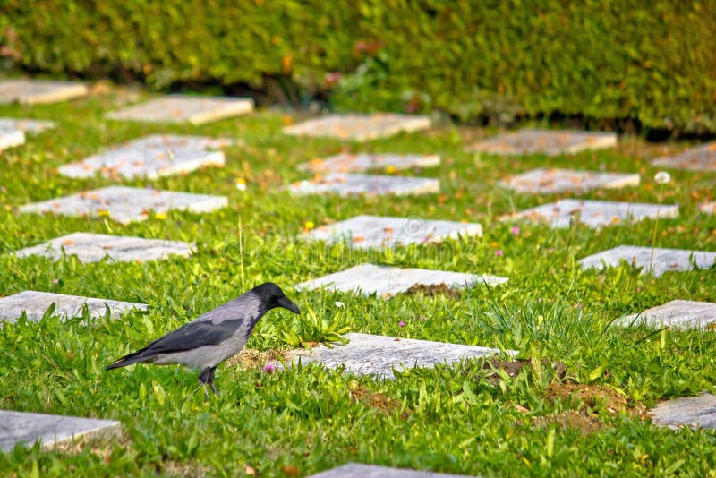Crow on Unmarked Grave Scene Stock Image - Image of gravestone, green ...