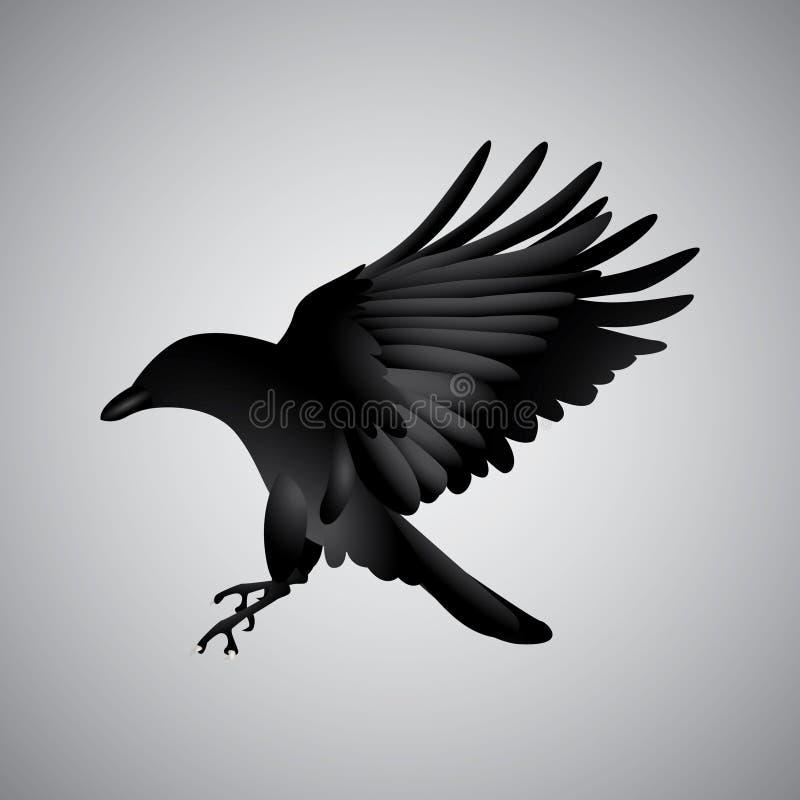 Crow. Vector Illustration Decorative Design Stock Vector - Illustration ...